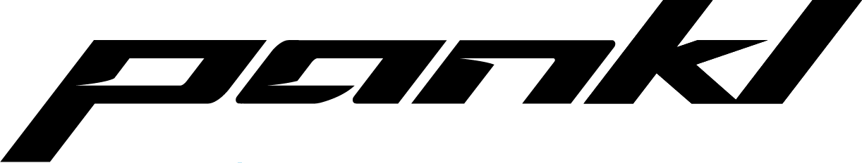 Group structure | Pankl AG